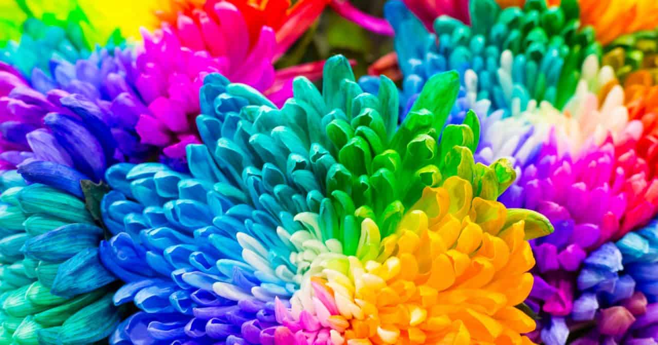9 Gay and Lesbian Wedding Flowers to Get Your Creativity Flowing
