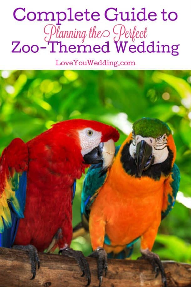 Complete Guide to Planning the Perfect Zoo-Themed Wedding